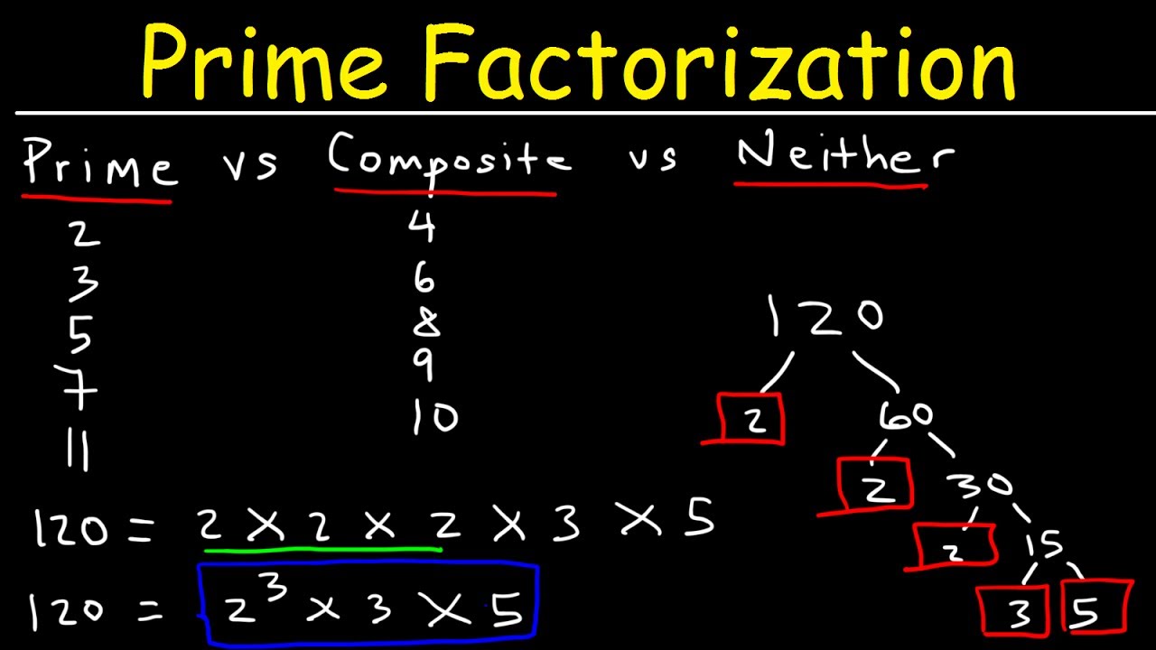 Prime Factorization Explained!