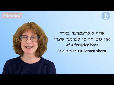 Yiddish Word of the Day: Learning