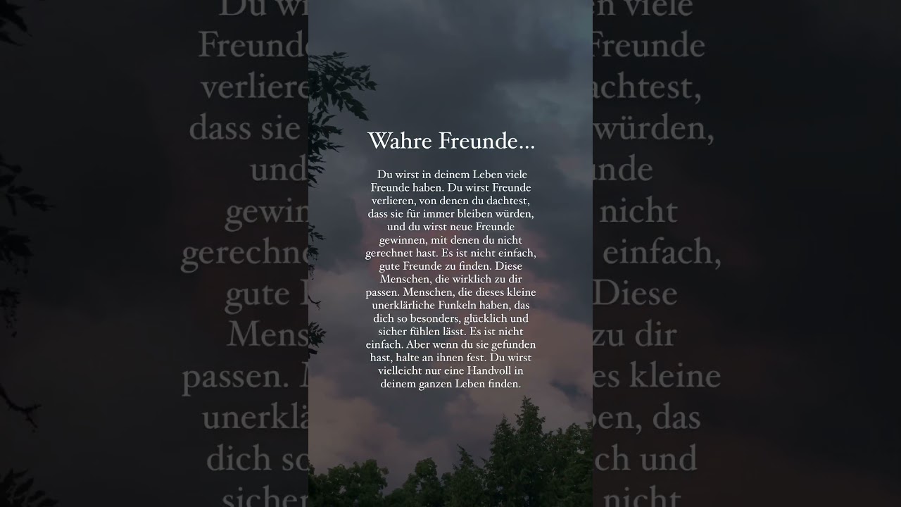 Wahre Freunde sind selten…. 🫂 #songpoeten #zitate #zitateundsprueche #sprüchezumnachdenken #sprüche