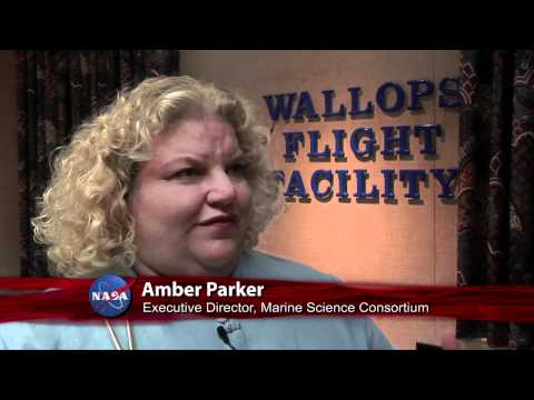 Space Weather Forecasts in STEREO on This Week @NASA
