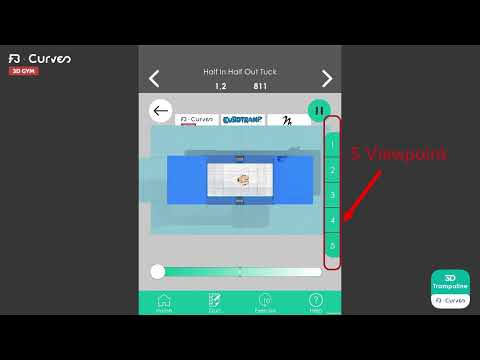 FB Curves 3D Trampoline – Gymnastics Coaching.com