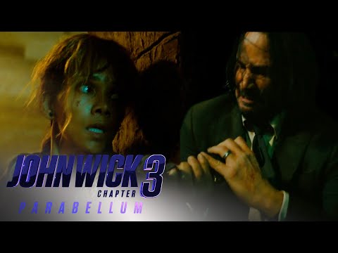 'The Dogs Attack' Scene | John Wick: Chapter 3 - Parabellum