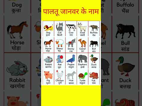 पालतू जानवर के नाम - Domestic Animal Names in Hindi and English #animals #animalname #gk