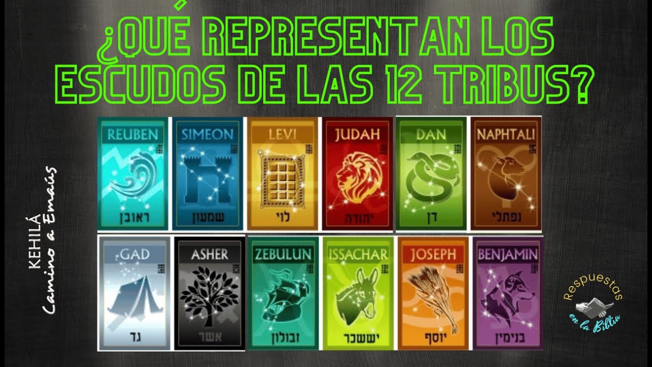 171. ¿Qué representan los escudos de las 12 tribus? | Respuestas en la Biblia