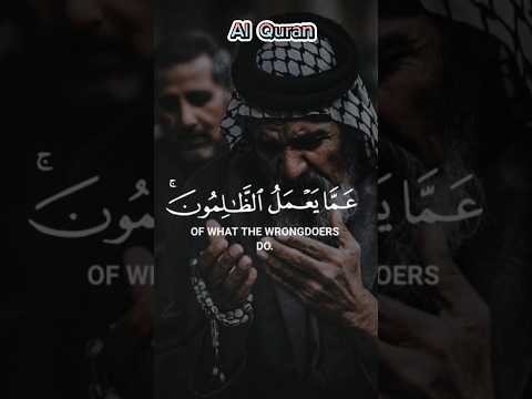 Quran Sharif Meaning in English #viralreels #shorts #quran #english