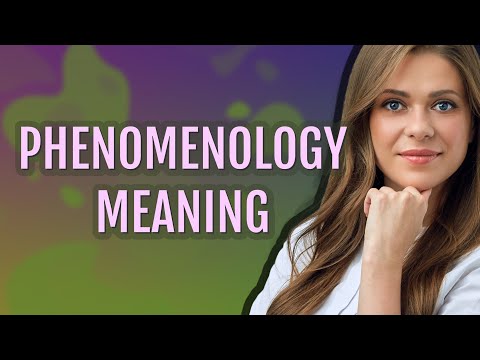 Phenomenology | meaning of Phenomenology