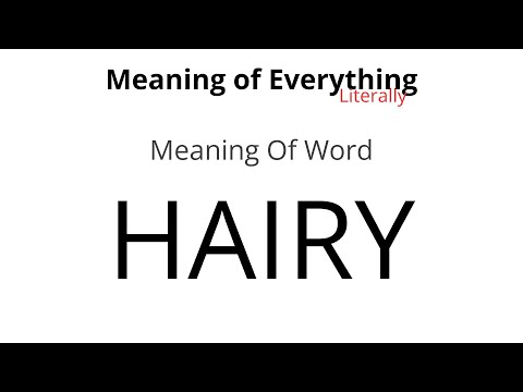 Meaning of Word - Hairy Meaning