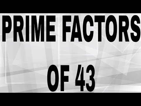 PRIME FACTORS OF 43