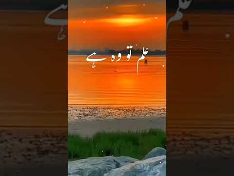 #education #shorts #trending #viral #best #love #follow #poetry #beautiful #bawafa
