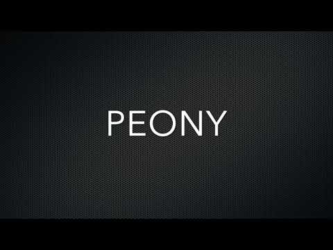 How to Pronounce Peony
