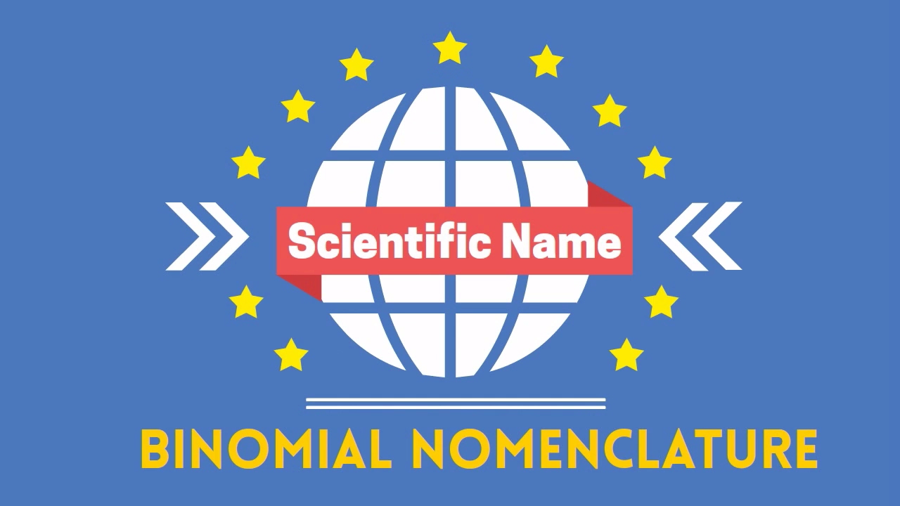 Scientific Name Binomial Nomenclature