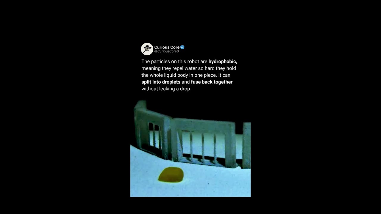 They Built a Real T-1000 🤖