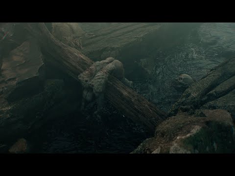 River Of The Dead - Houdini #flip #houdini #creepy