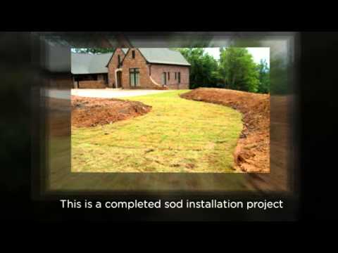 Landscaping Birmingham Alabama | 205-206-7963 | Dawson Landscape Group LLC.