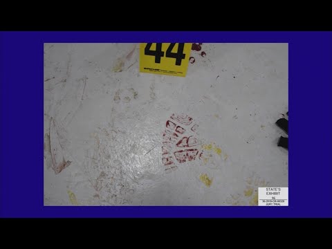 Special agent testifies