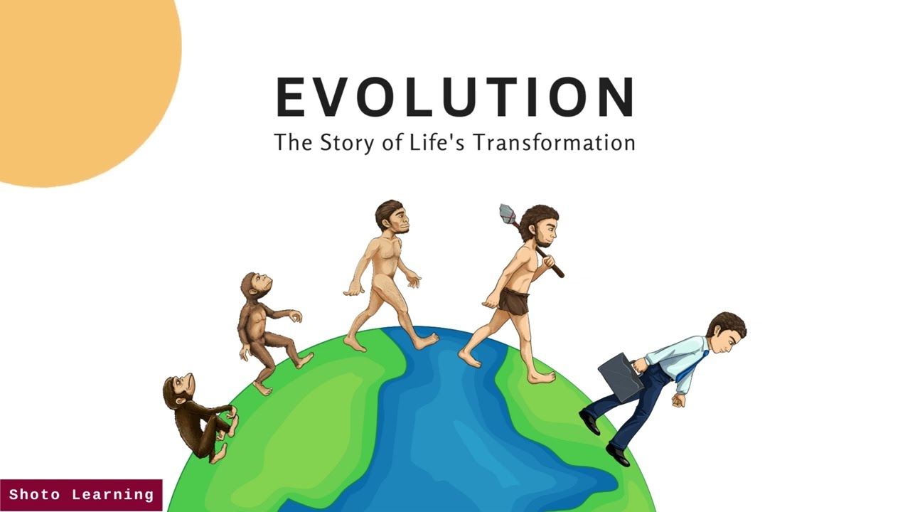 Evolution Unveiled: A Comprehensive PowerPoint Presentation