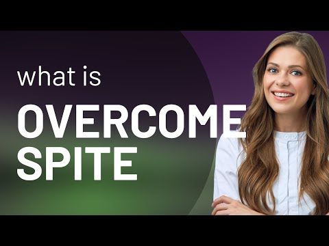 Overcoming Spite: A Journey to Understanding