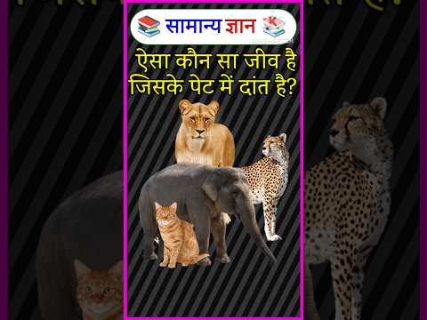 Ssc gk | Top 30 gk questions 🤔📚 | Gk in hindi | Gk Quiz | #gk #gkfacts #gkquiz #gkhindi #svgkstudy