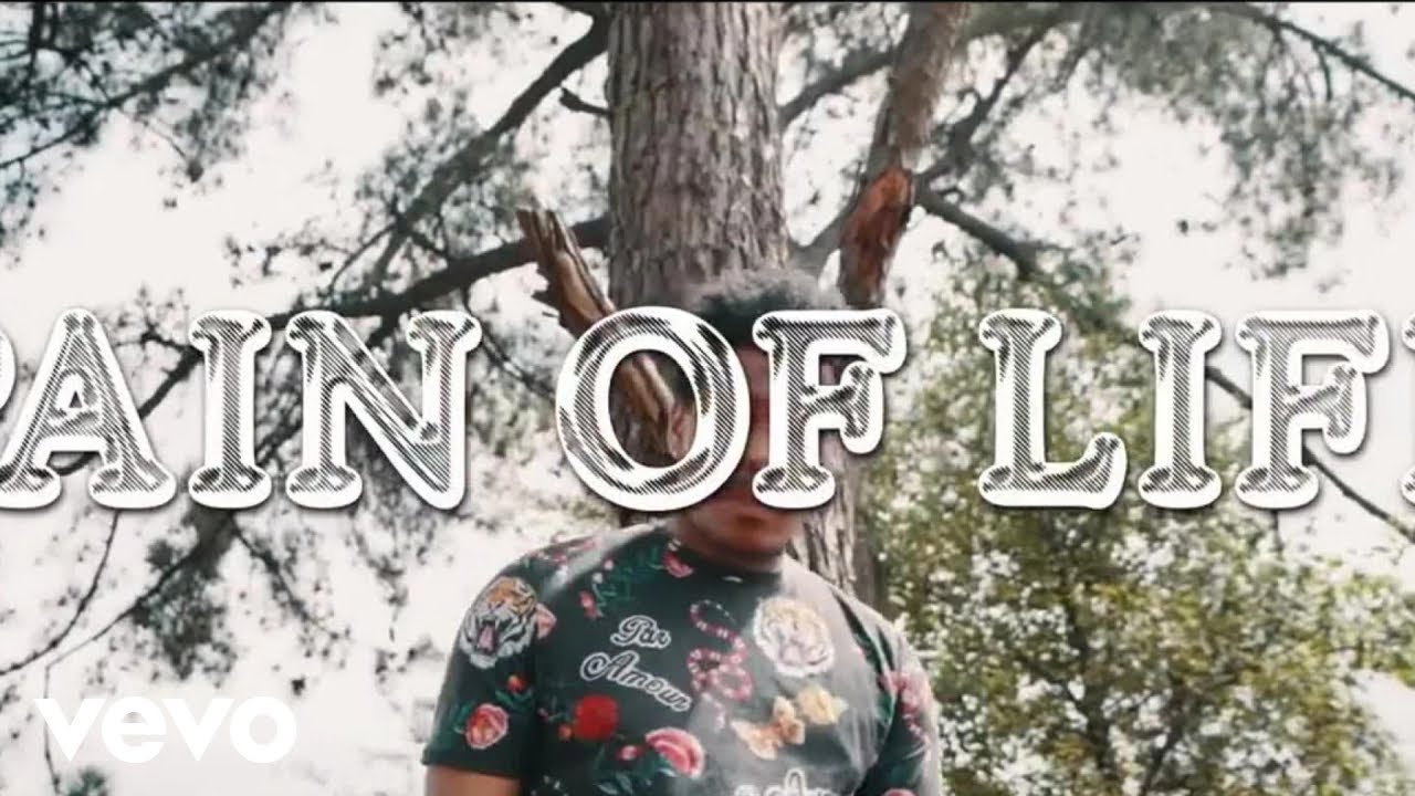 Pedro Walker - Pain of life (Official Music Video)