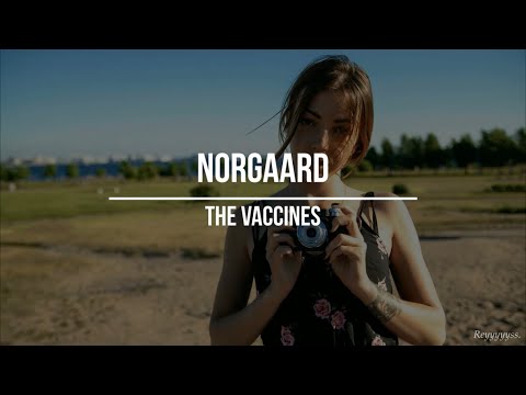 || The Vaccines - Norgaard || (Sub. Español)