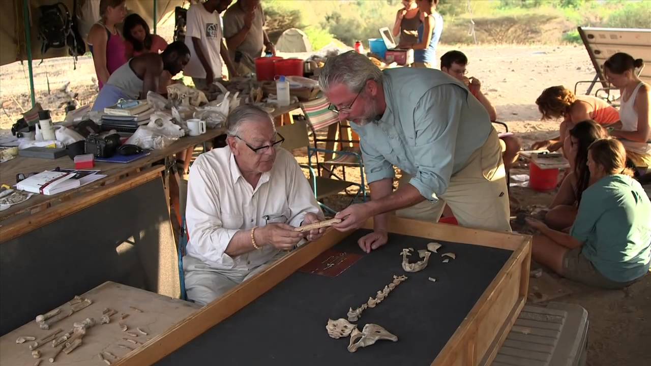 Exploring the Discovery of Lucy: A Journey into Human Evolution | Galaxy.ai
