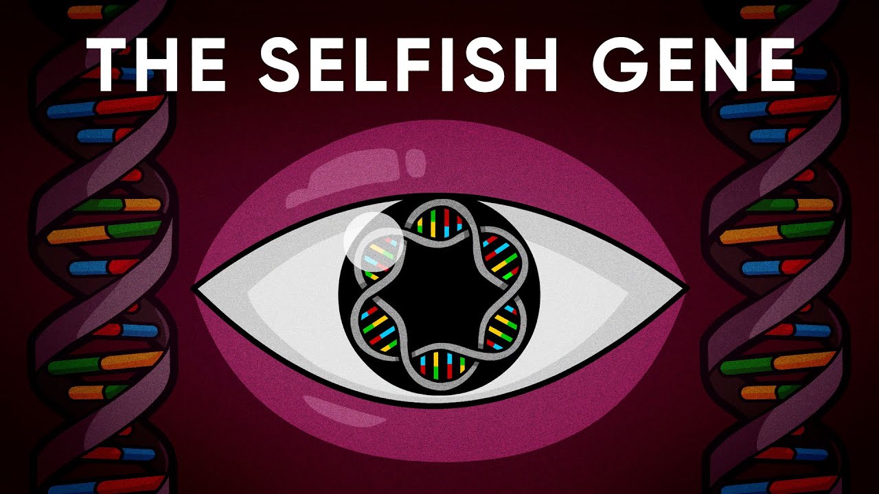 Understanding the Gene's Eye View of Evolution | Galaxy.ai