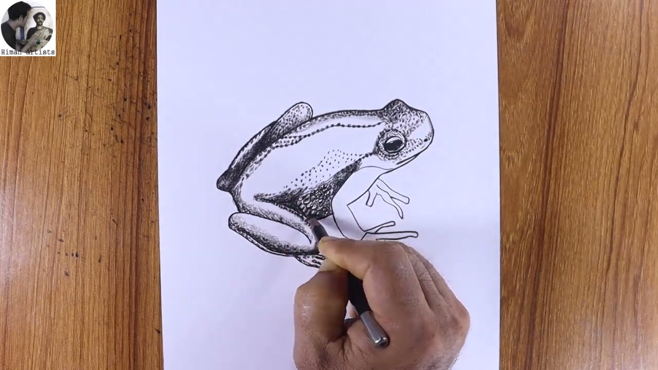 How to draw Frog | Charcoal pencil sketch drawing Frog | Pencil Art