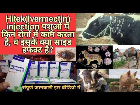 Ivermectin Injection - Ivermectin Injection BP Latest Price ...