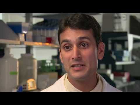 Meet researcher Zeshaan Rasheed, MD, PhD of Johns Hopkins University