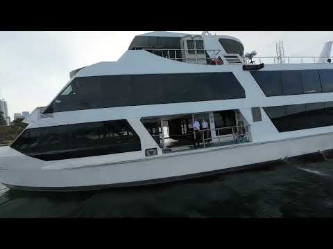 Yeah Buoy - Sunset Boat Party (27.06) in Sydney – June 27, 2026 | AllEvents