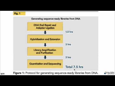 Targeted Resequencing with Single Primer Enrichment Technology