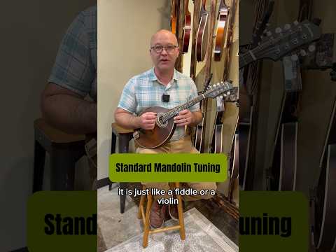 How to tune your mandolin to standard tuning! #mandolin #mandolininstrument #mandolintuning