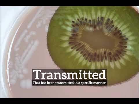 How Does Transmitted Look? | How to Say Transmitted in English? | What is Transmitted?
