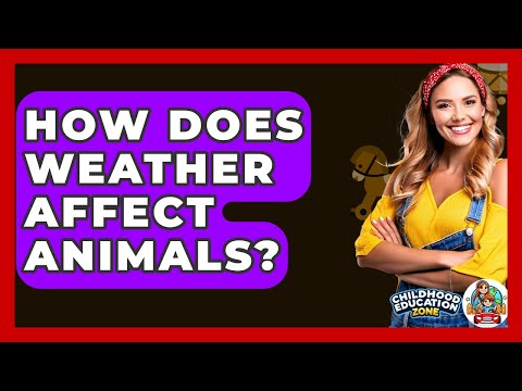 How Does Weather Affect Animals? - Childhood Education Zone