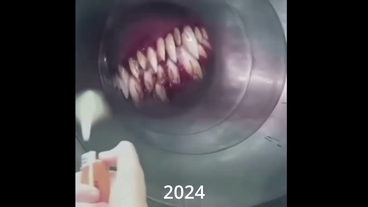 Evolution of Extra Slide / Killer Slide #evolution
