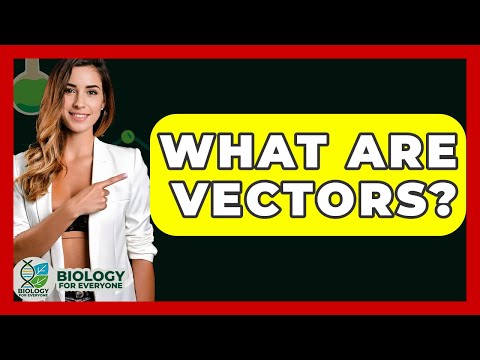 What Are Vectors? - Biology For Everyone