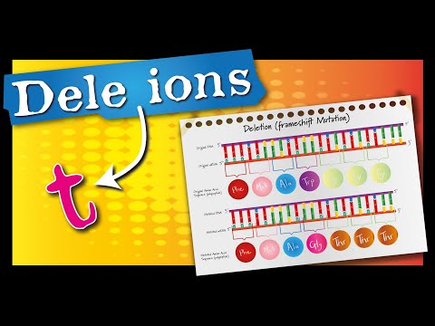 Deletion Mutation | A Level Biology | Frameshift Mutations / deletion mutations explained
