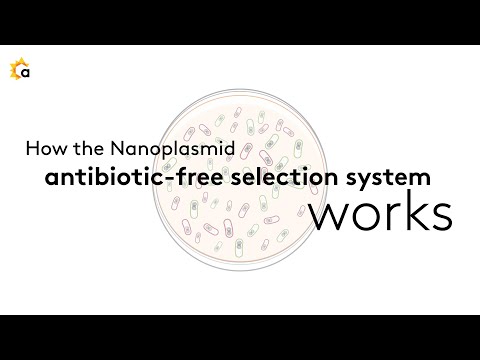 Learn how the RNA-OUT antibiotic-free selection system works in the Nanoplasmid® vector