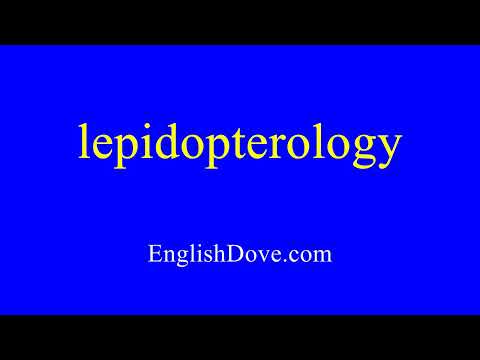 How to pronounce lepidopterology in American English