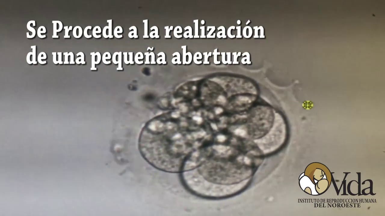 Eclosión asistida