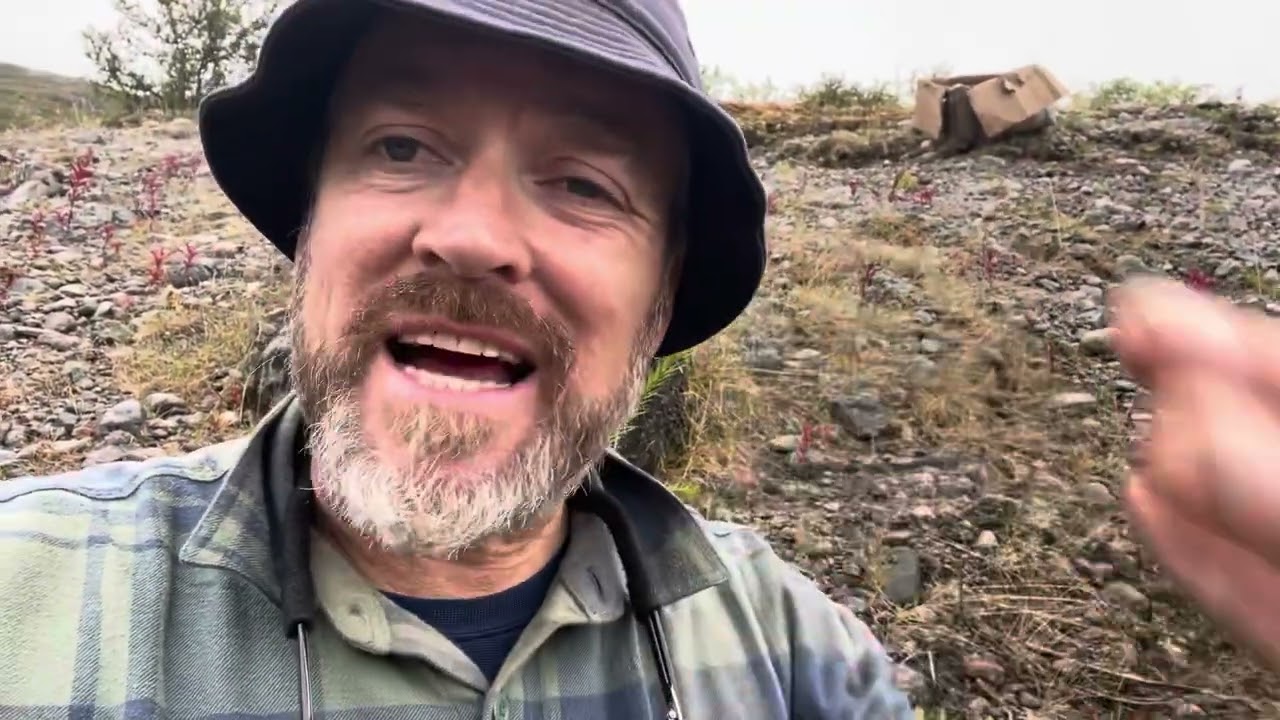 How are Greenland Trees doing after 5 years?