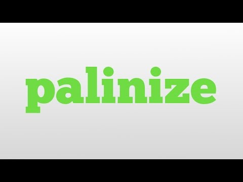 palinize meaning and pronunciation