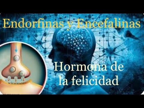 El Dolor somatico y las Endorfinas y Encefalinas. Hormonas de la felicidad. Hipofisis e hipotalamo