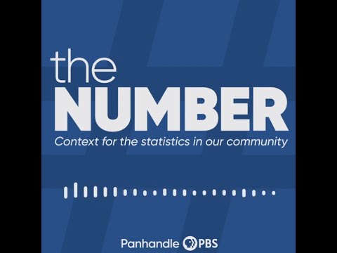 The Number: Digital Divide