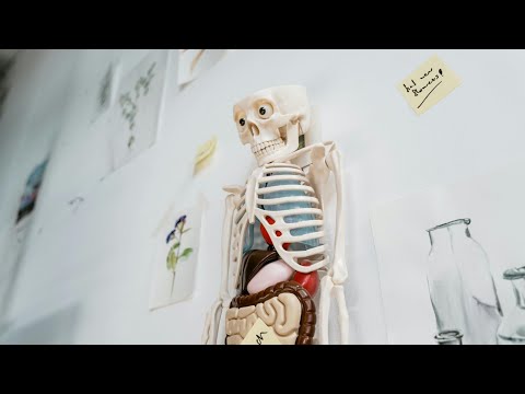 Anatomy and physiology of musculoskeletal system #medical #medispark