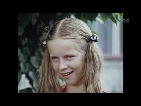 Keskpäev 1981