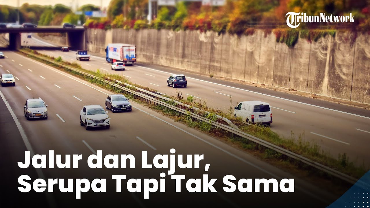 Perbedaan Jalur dan Lajur, Jangan Sampai Salah Lagi