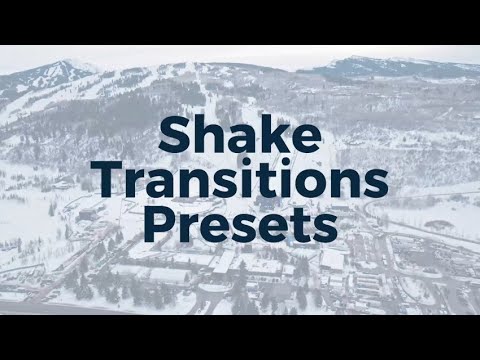 Shake Presets Premiere Pro Presets