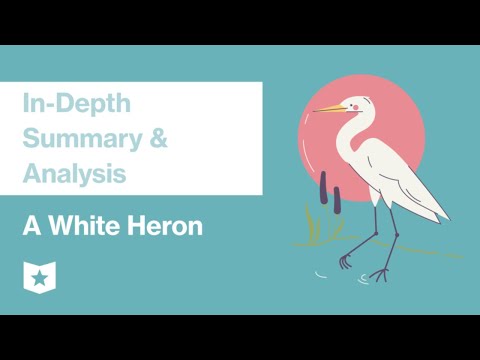 A White Heron Study Guide | Course Hero