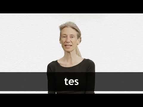 English Translation of “TES” | Collins French-English Dictionary